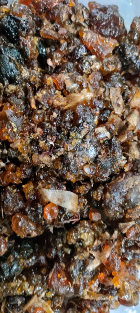 Dandaka Guggilam Mukhulitha – Vedic Nutraceuticals